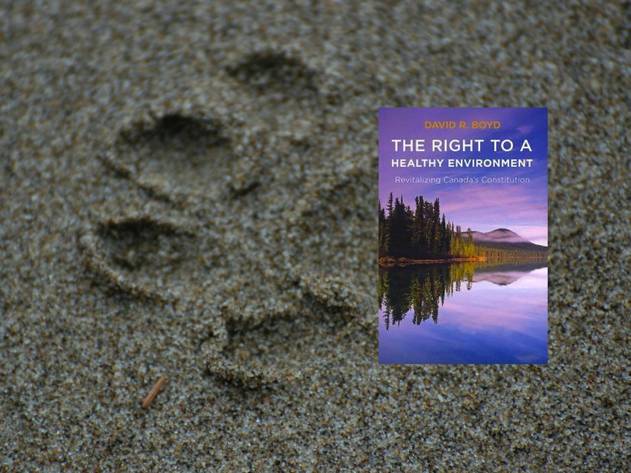 Review: The Right to a Healthy Environment – NiCHE