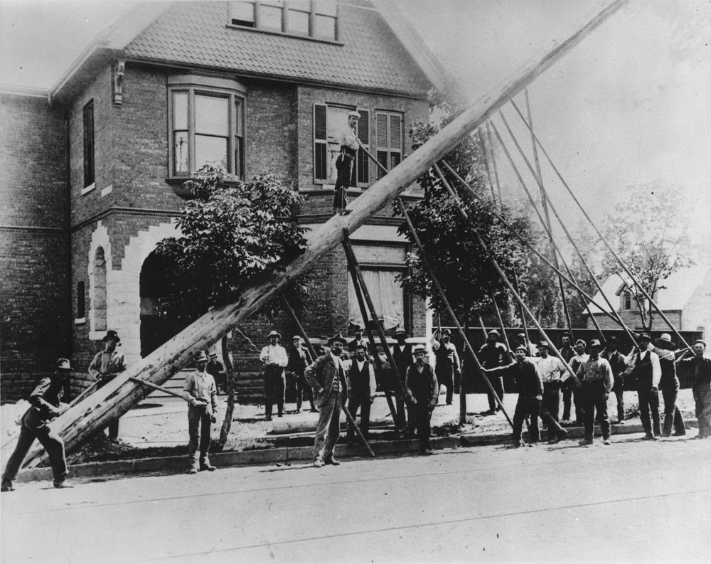 Electric Trees: The Constructed Nature of Utility Poles and Street ...