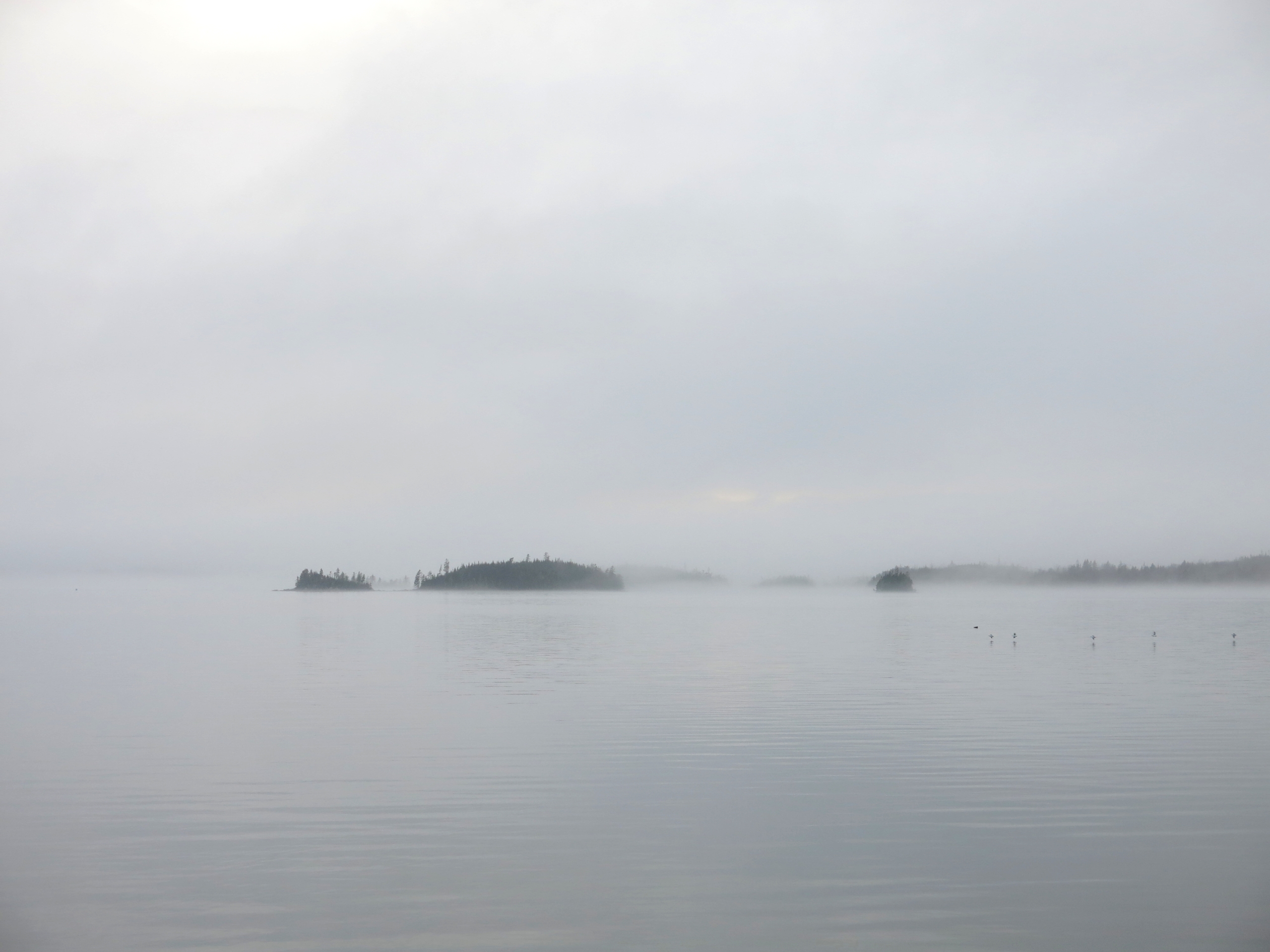 “a salubrious, saline exhalation”: Fog and Health in Colonial ...