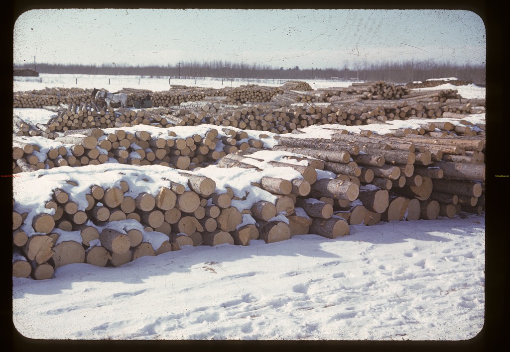 Call for Submissions – Saskatchewan Environmental History – NiCHE