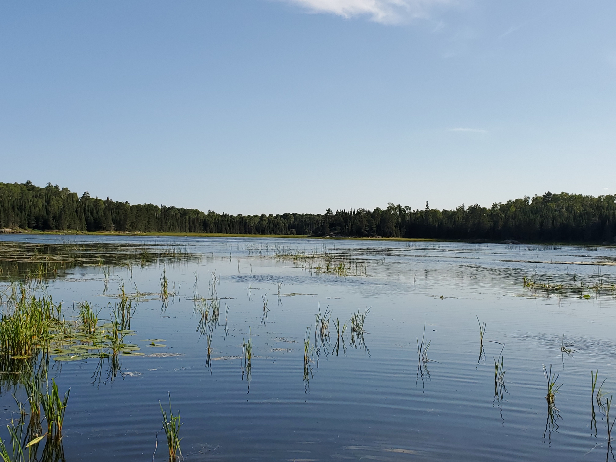 The Day After: Water – NiCHE