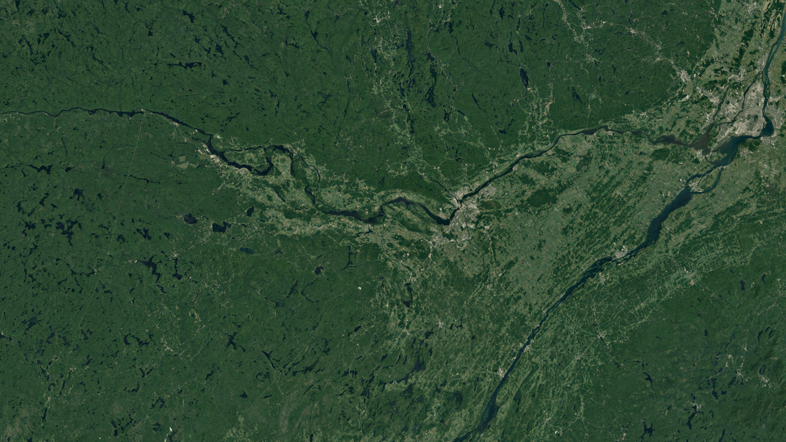 What Do Trees Have to Do With It? An Introduction to Westmeath and ...